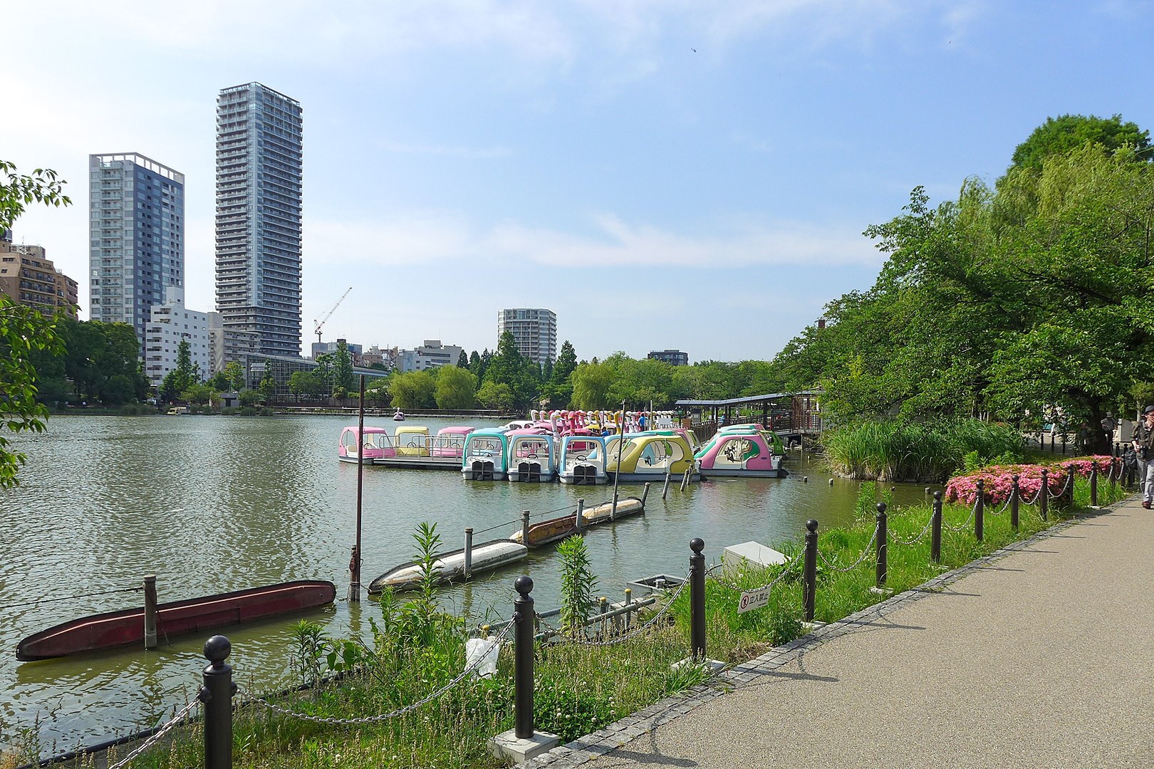 Shinobazu Pond - SMARTTRAVELERS